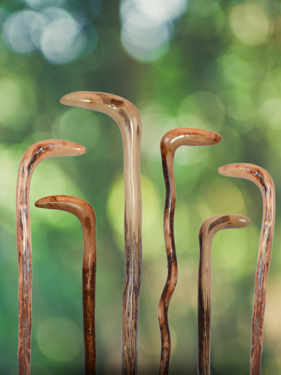 Handcrafted Wild Wood Root Cane - 36" Unique Design